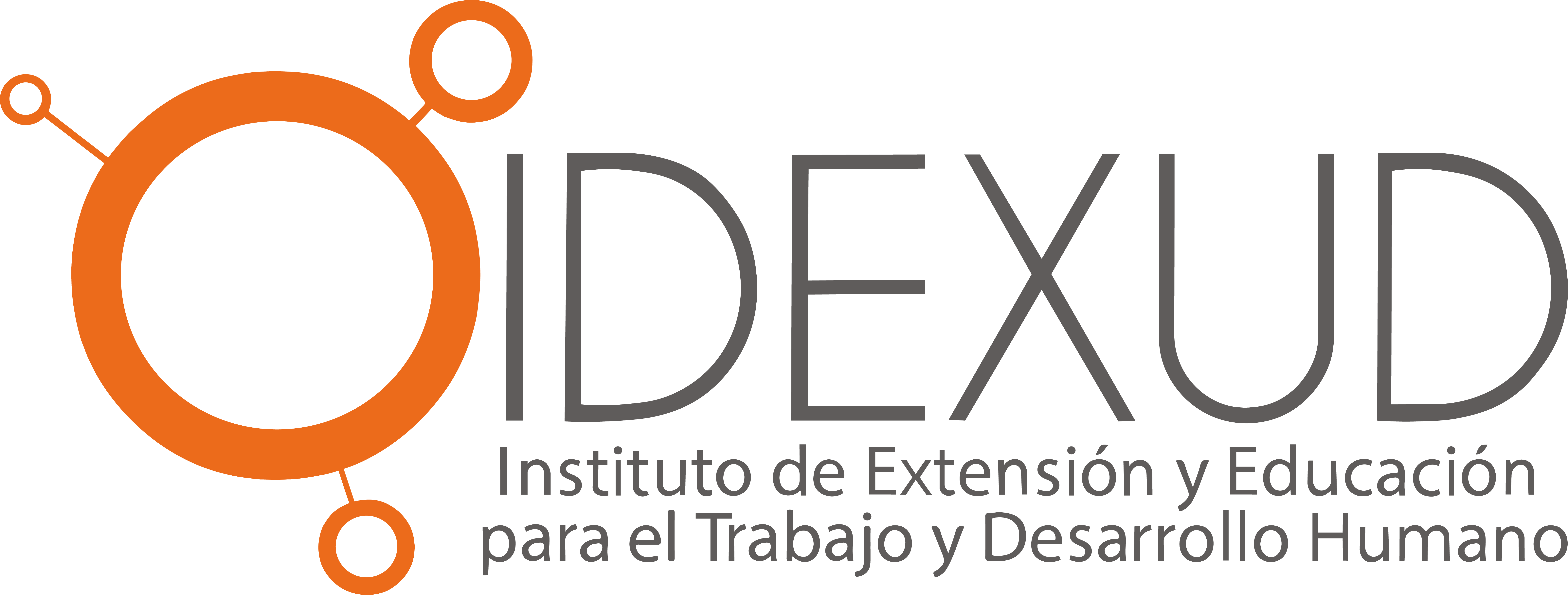 Aula Virtual IDEXUD